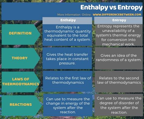 What Is Entropy Hopdeli