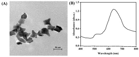Molecularly Imprinted Sers Plasmonic Sensor For The Detection Of Malachite Green
