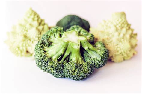 브로콜리 꽃과 로마 콜 리 플라워와 텍스트 공간으로 고립 된 흰색 배경 0명에 대한 스톡 사진 및 기타 이미지 0명 개화