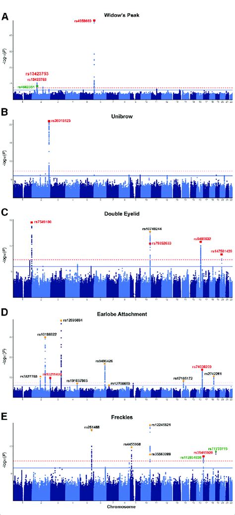Manhattan Plots Of The Discovery Gwas Manhattan Plot For A Widows