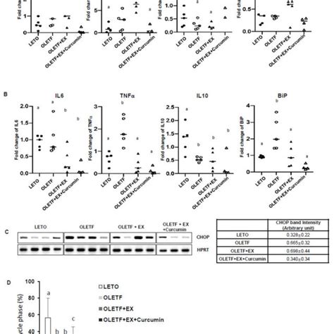 Exercise Plus Curcumin Supplementation Reduced Body Weights And