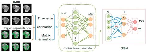 The Proposed Architecture Of The Deep Learning Approach Download