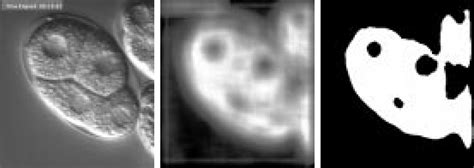 Detector A From Left To Right Input Output And The Binarized Image