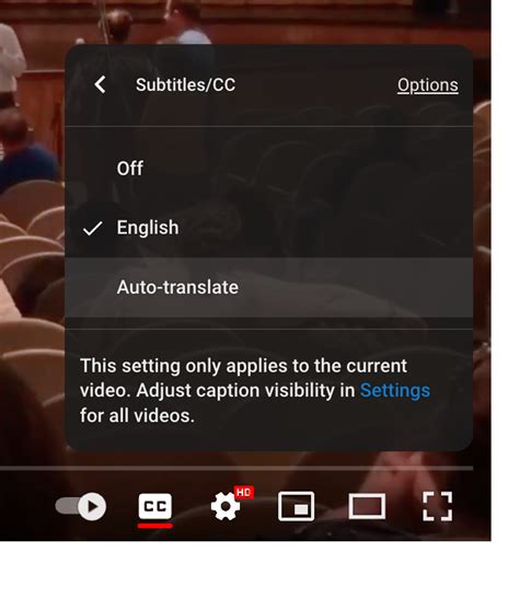 How To Change Subtitle Language