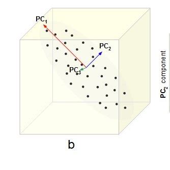 Illustration Of Principal Component Analysis Download Scientific Diagram