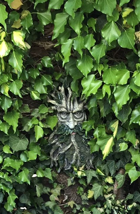 Tree Ghost Forest Free Photo On Pixabay Pixabay