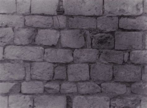 Analog Texture Analog Texture