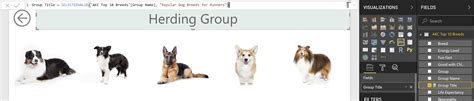Create A Dynamic Title In Power Bi 3cloud