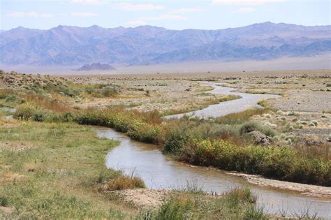 “Цагаан нуур” “Холбоо” хоёр нуурын хойд нуур нь ширгэжээ