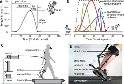 Human In The Loop Optimization Of Exoskeleton Assistance During Walking Science