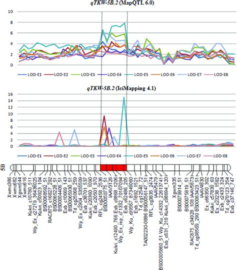 Overlapping Confidence Interval Of Qtl For Tkw Based On Mapqtl 60 Download Scientific