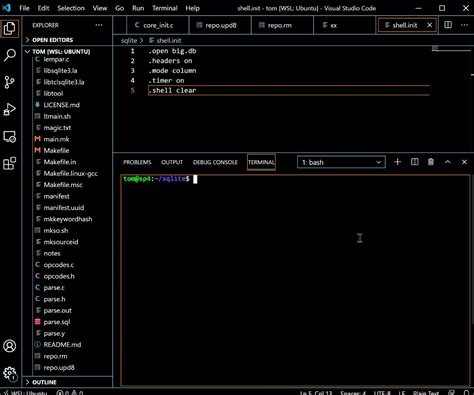 Sqlite3 Cli In Terminal · Issue 116174 · Microsoftvscode · Github