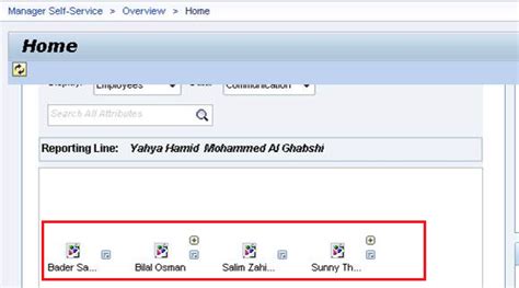 Employee Photo Not Visible In Mss Team Flash View Sap Community