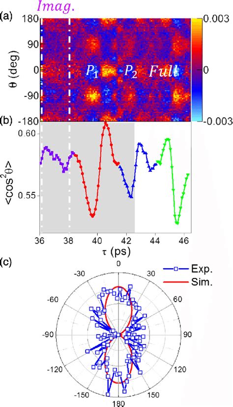 Experimentally Measured And Theoretically Simulated Time Dependent