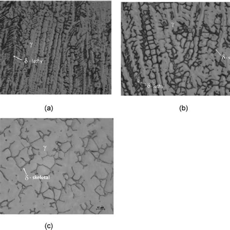 E S316l16 Wm Micrograph After The Corrosion Tests Corroded Austenite