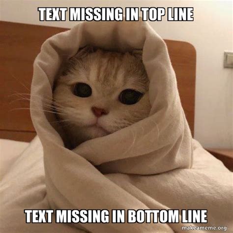 Text Missing In Top Line Text Missing In Bottom Line Gm Cat On Solana Meme Generator