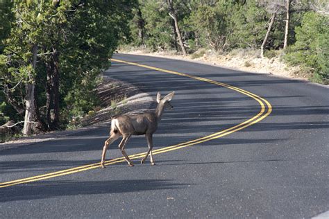 the long and winding road to public data dataone notebooks
