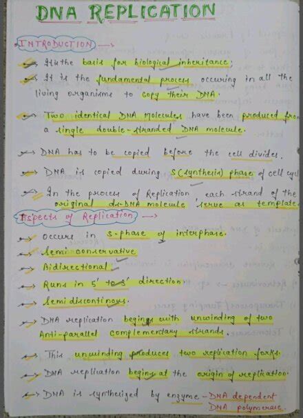 Dna Replication Notes Pdf For Class 12 Mbbs Bsc Msc And Competitive