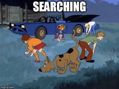 Implementing Search Using Sitecore And Lucene Part Ii Lost In Sitecore