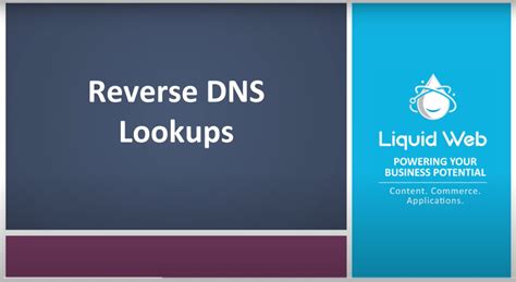 What Are Reverse Dns Lookups How To Lookup Ips Liquid Web