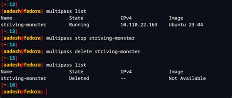 Multipass A Guide To Installing And Running Ubuntu Instances On Linux Linuxfordevices