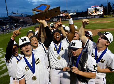 A Look Back At The 2022 Berks High School Baseball Season