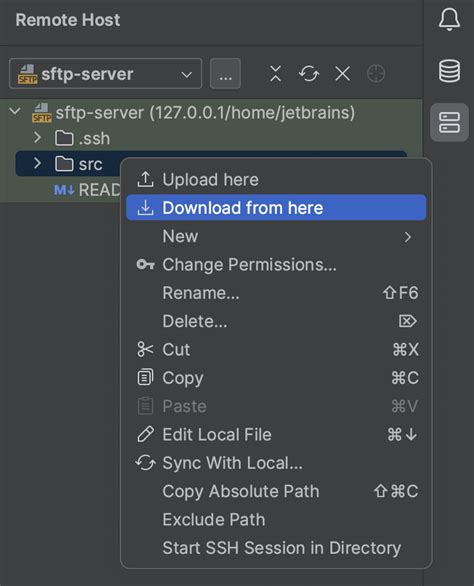 Upload And Download Files IntelliJ IDEA Documentation
