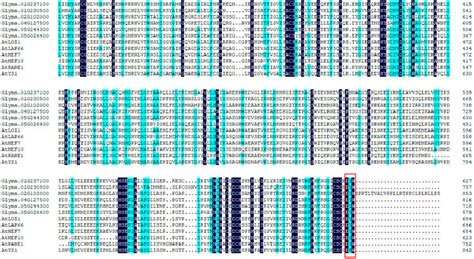 Multiple Sequence Alignment Of 12 Dyw Subgroup Ppr Proteins From A