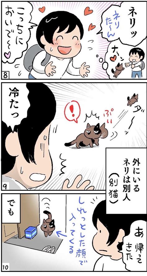 ハチワレ「猫マンガ「サビとハチワレ」 第二話「脱走」 ↓ Nl6」マーブルあやこの漫画