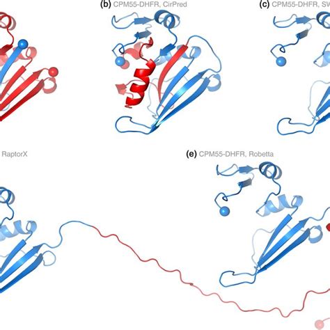 Circularly Permuted Protein Structure Models Constructed By Cirpred And