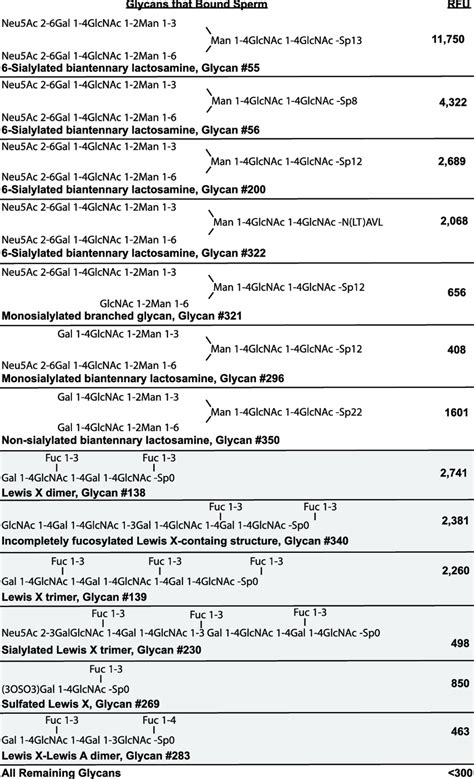 Glycans That Bound Porcine Uncapacitated Sperm Glycans Containing Download Scientific Diagram