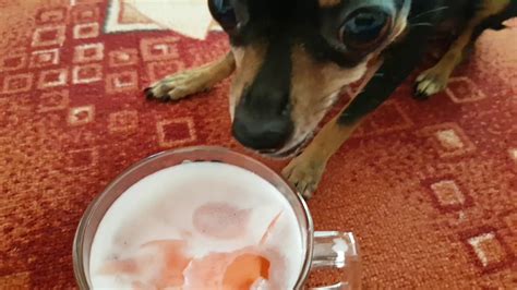 Любит медовуху с имбирём Youtube