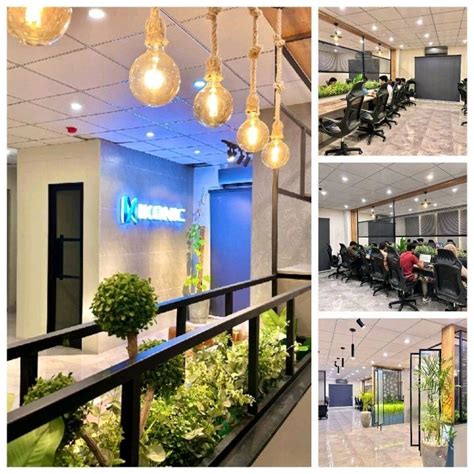 verified profiled on linkedin laraveldeveloper reactjsdeveloper