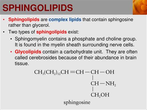 Ppt Sphingolipids Powerpoint Presentation Free Download Id3799980