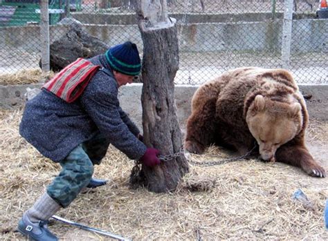 В село Ягода остана жив само един мечкадар преди години бяха 18
