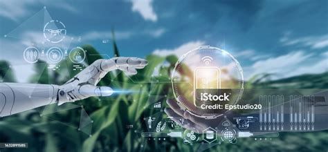 스마트 농업 농업 변환 기술 개념 로봇과 인간의 손이 데이터 증강 혼합 가상 현실을 만지고 인공 지능이 심층적인 기계 학습을 결합합니다 인공지능에 대한 스톡 사진 및 기타