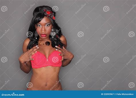 Woman Touching Herself Stock Image Image Of Adult Posing 22092967