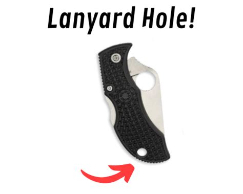 Spyderco Manbug Vs Dragonfly [which Is The Better Knife For You] Knife Trackers