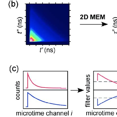 Schematics Of A Photon Data B Two Dimensional Fluorescence Download Scientific Diagram