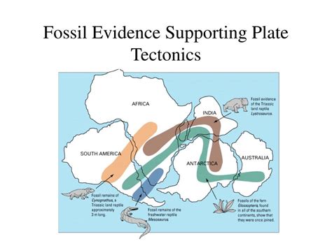 Ppt Plate Tectonics Powerpoint Presentation Free Download Id 744823