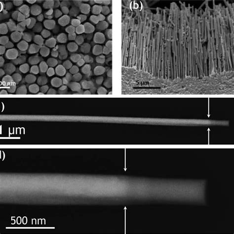 A Top View And B Cross Sectional Scanning Electron Micrographs Of