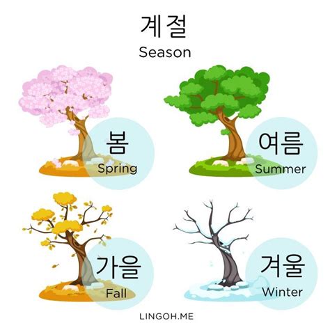 Korean vocab about Seasons Aprender coreano Palavras coreanas Língua coreana
