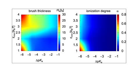Conformation And Ionization Behavior Of Charge Regulating