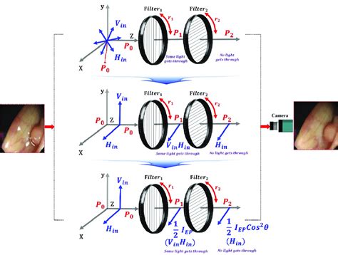 Specular Reflection Terminology At Molly Nielsen Blog