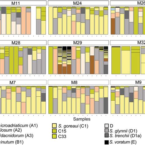 Barplots Of Variance Normalized Abundances Of Symbiodinium Diversity