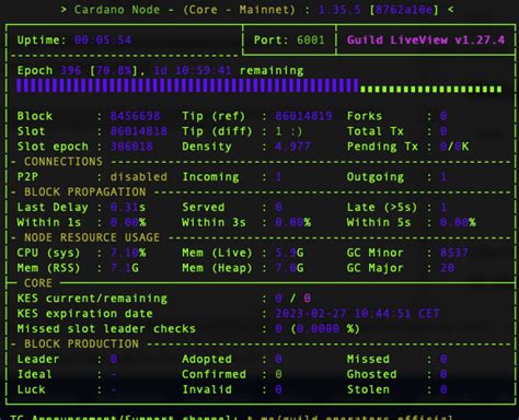 Node Not Starting Setup A Stake Pool Cardano Forum