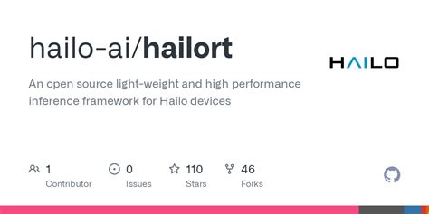 hailort hailort libhailort examples cpp async infer advanced example