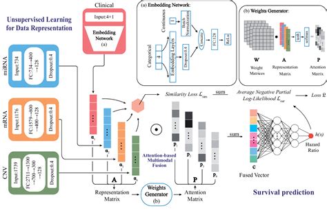 Figure 1 From Pancancer Survival Prediction Using A Deep Learning Architecture With Multimodal