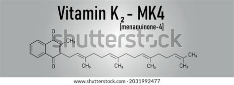 비타민 K2나 메나퀴논 분자골격 공식메나키논 4 Mk4 스톡 벡터로열티 프리 2031992477 Shutterstock