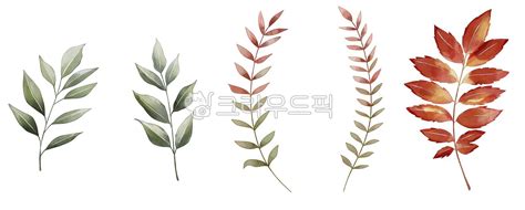 가을 가을그림 수채화 나뭇잎 자연 사진이미지일러스트캘리그라피 Ok디자인작가